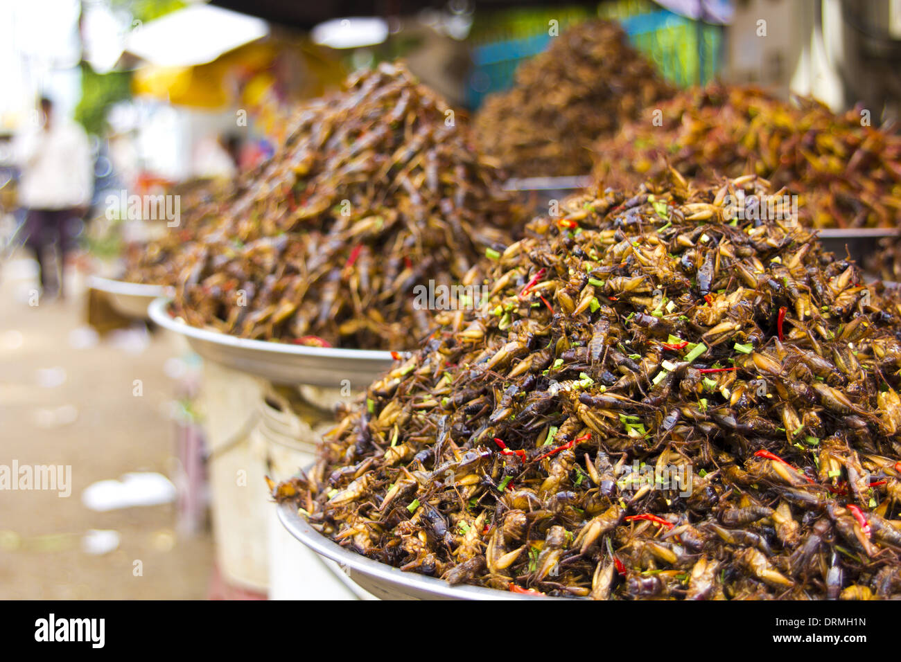 Eating bugs thailand hi-res stock photography and images - Alamy