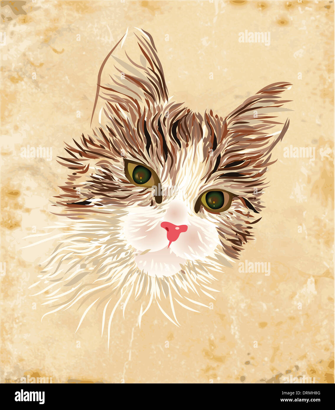 vintage portrait of the cat Stock Photo - Alamy