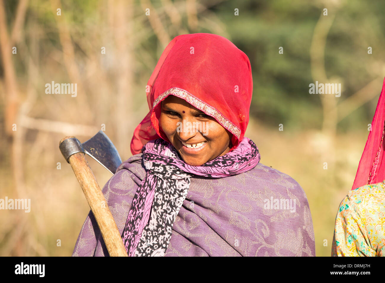 Young woman in Rajasthan, India, going out into the bush to chop down ...