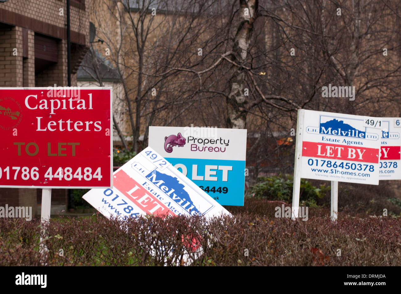 Various to Let signs in Stirling, Scotland, UK Stock Photo - Alamy