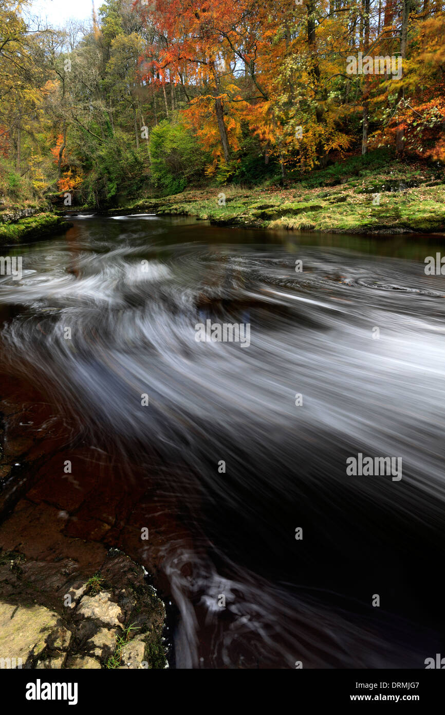 Autumn, River Doe near Chapel Le Dale village, Yorkshire Dales National ...