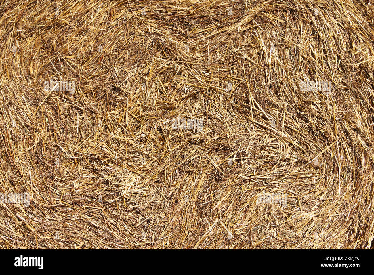 Straw wisp hi-res stock photography and images - Alamy