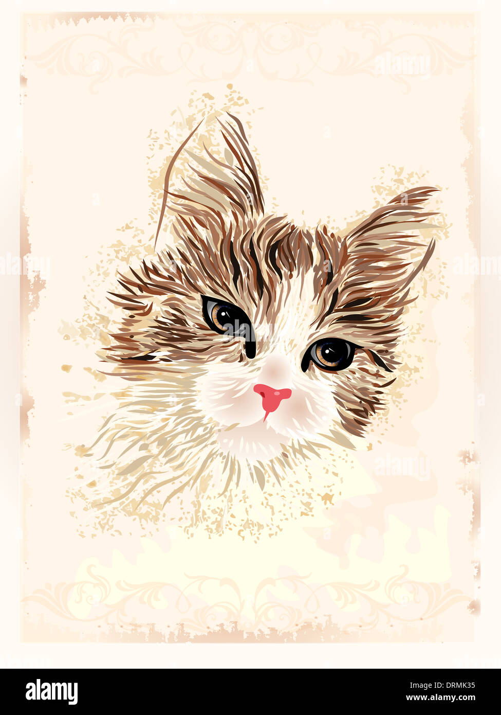 vintage portrait of the cat Stock Photo - Alamy