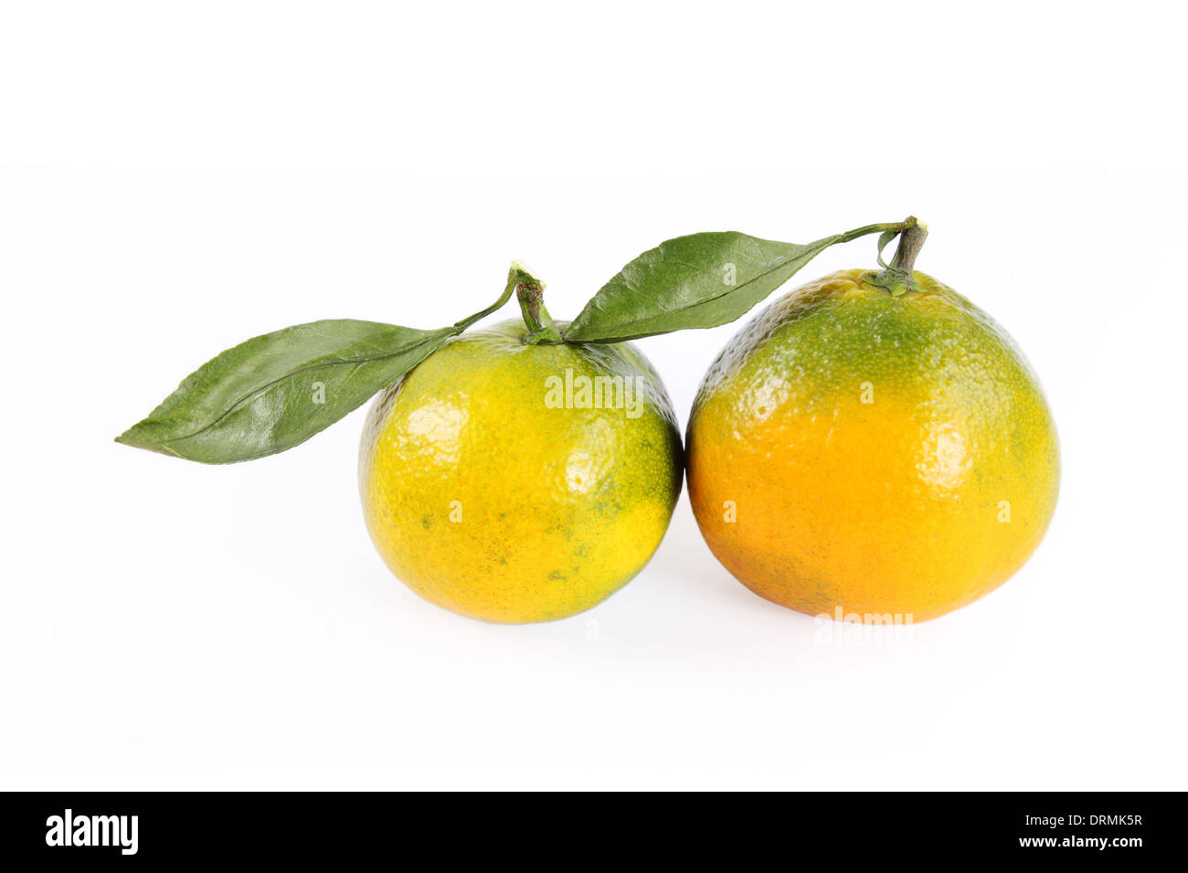 Orange Cut Out Stock Images & Pictures - Alamy