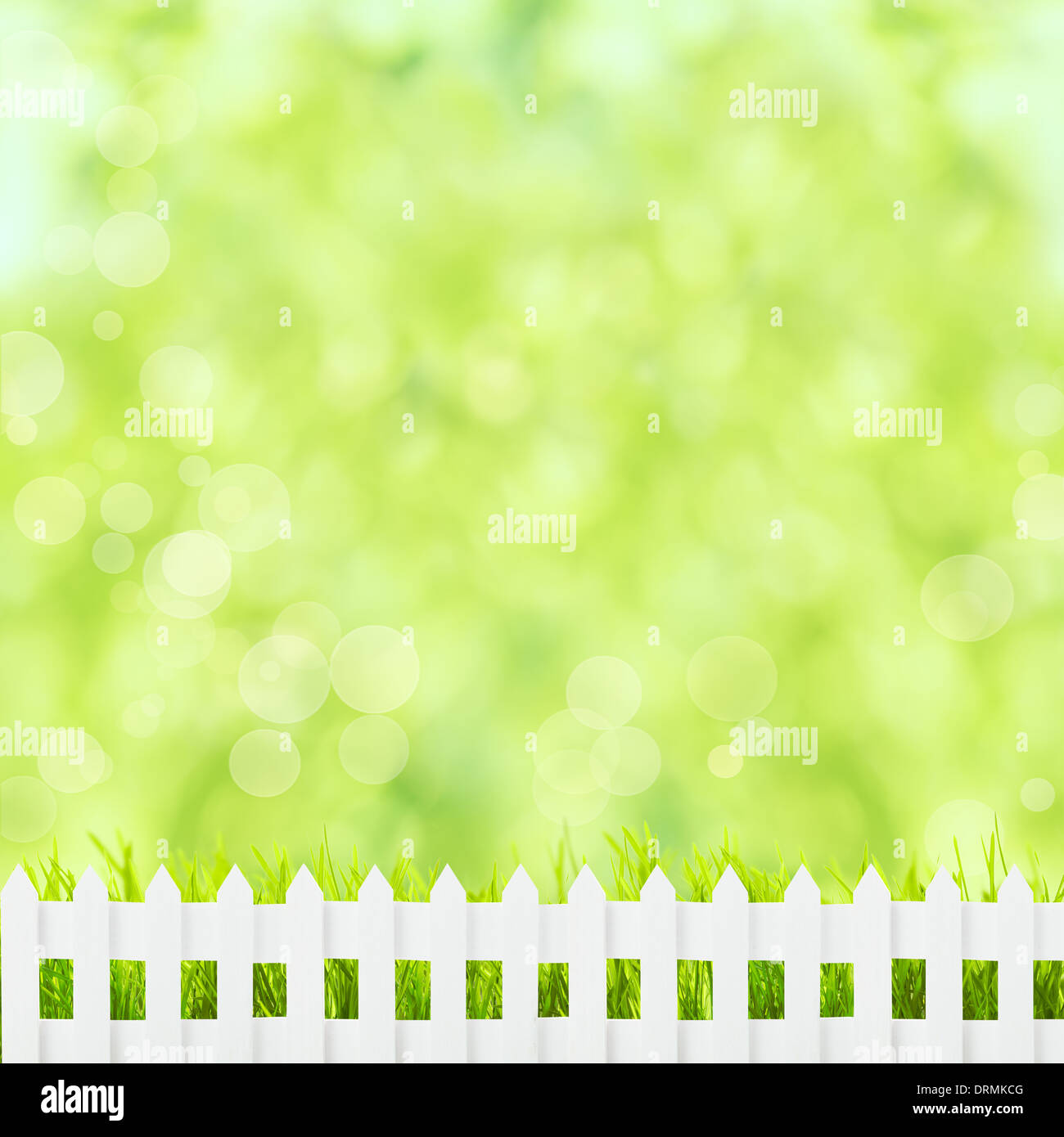 Green grass and fence Stock Photo - Alamy