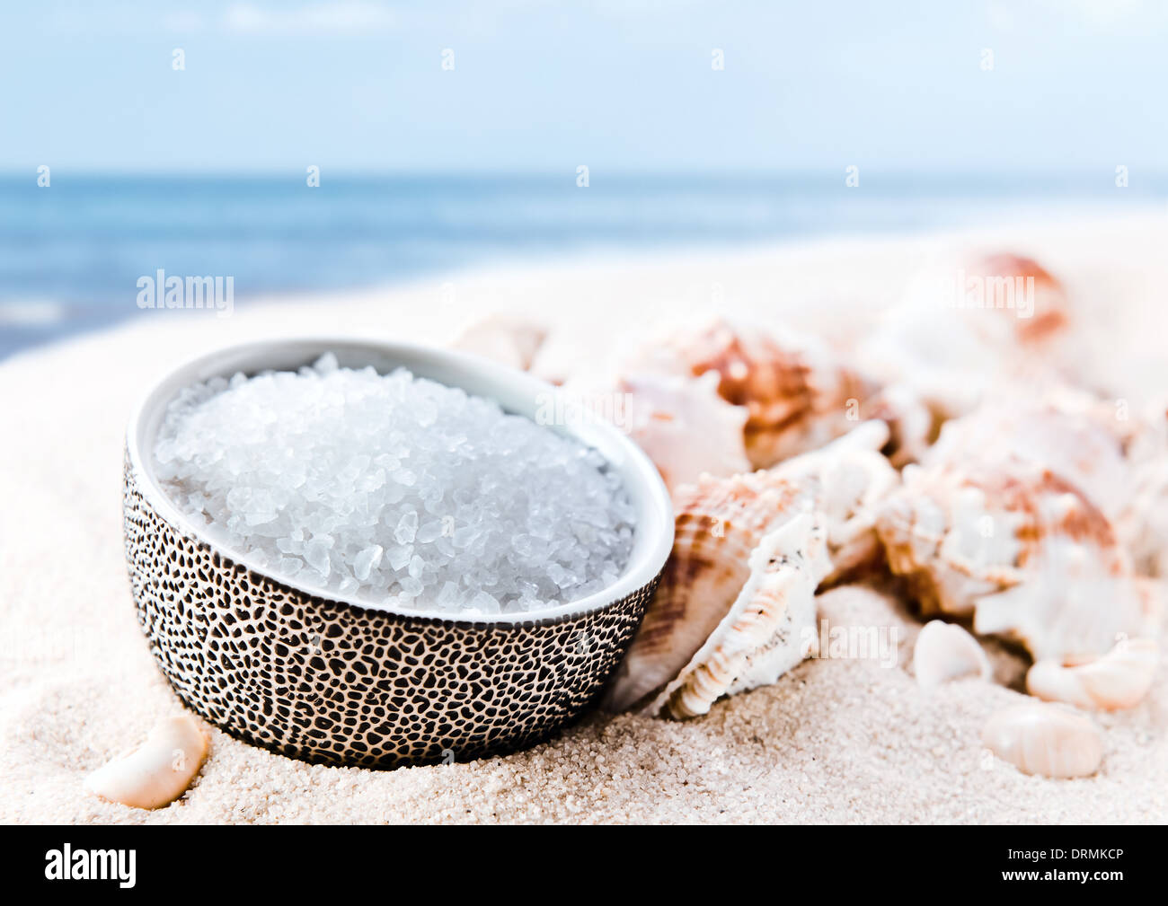 Seashell sea salt hi-res stock photography and images - Alamy