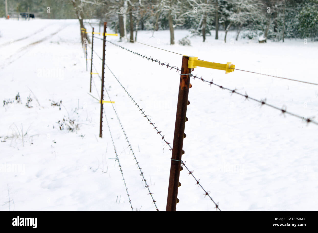 Fence posts in a snowy field Stock Photo - Alamy