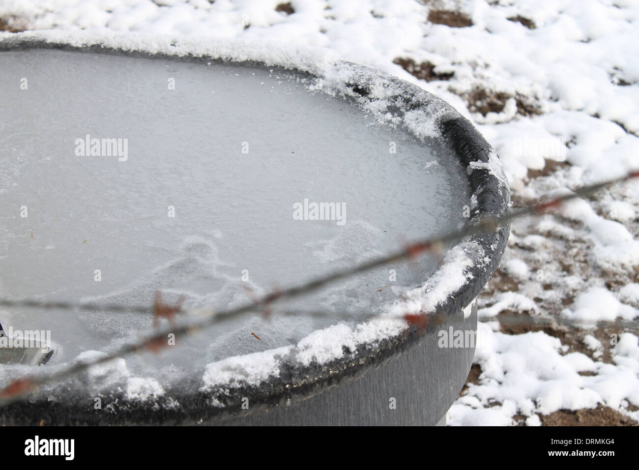 Snow and ice on a bucket of water Stock Photo - Alamy