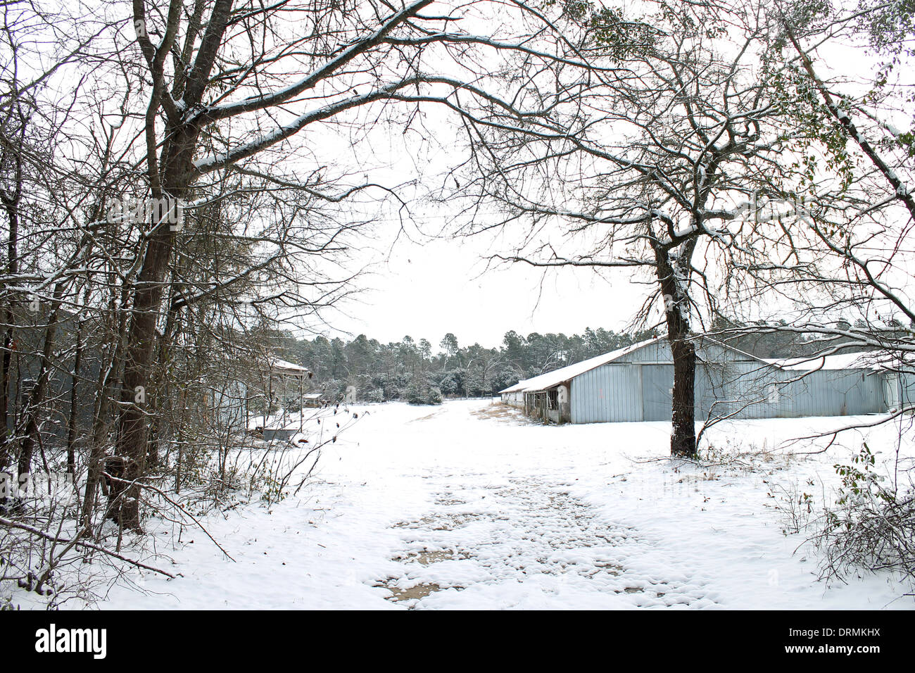 Snowy day on a farm Stock Photo - Alamy