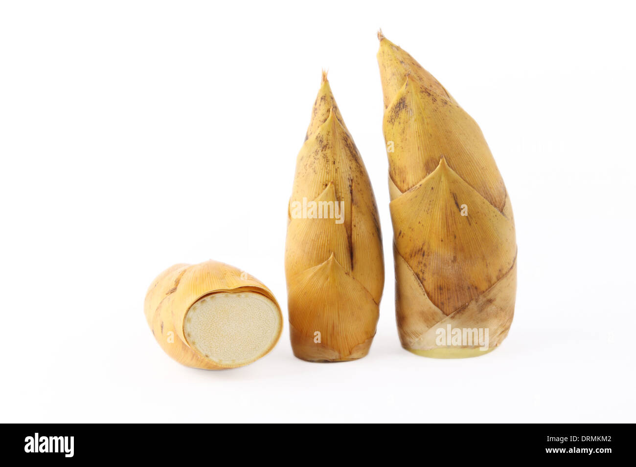 Cut bamboo shoots hi-res stock photography and images - Alamy