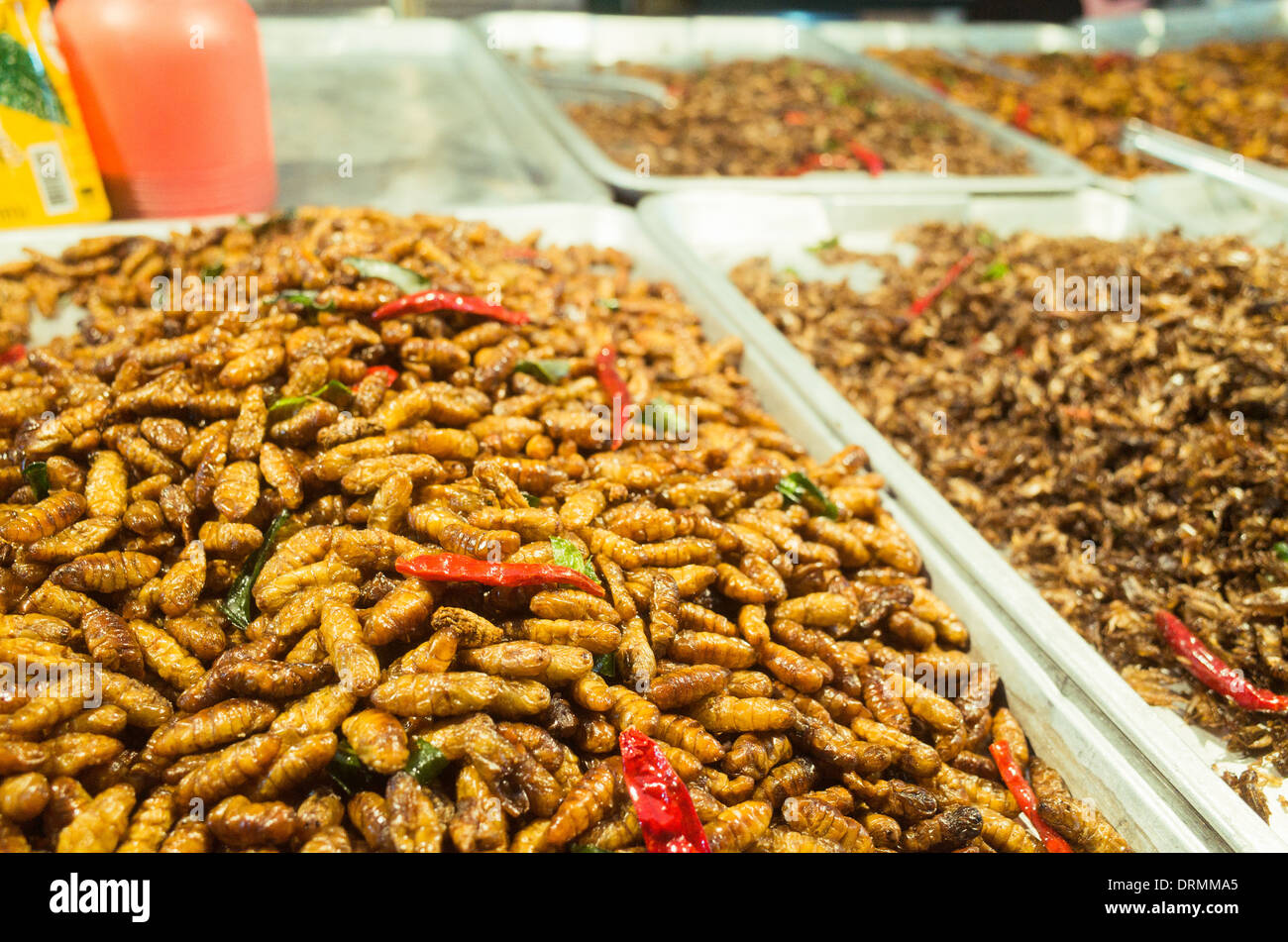 fried insects snack as food in Bangkok, Thailand Stock Photo - Alamy