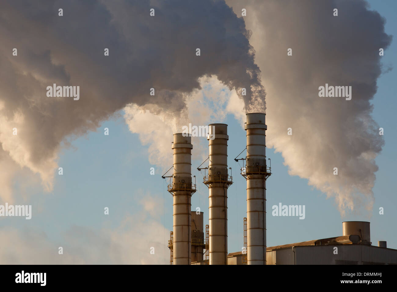 The Dearborn Industrial Generating Station, operated by CMS Energy, at ...