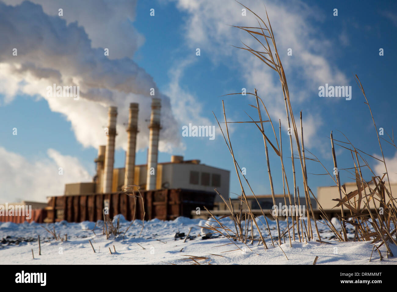 The Dearborn Industrial Generating Station, operated by CMS Energy, at ...