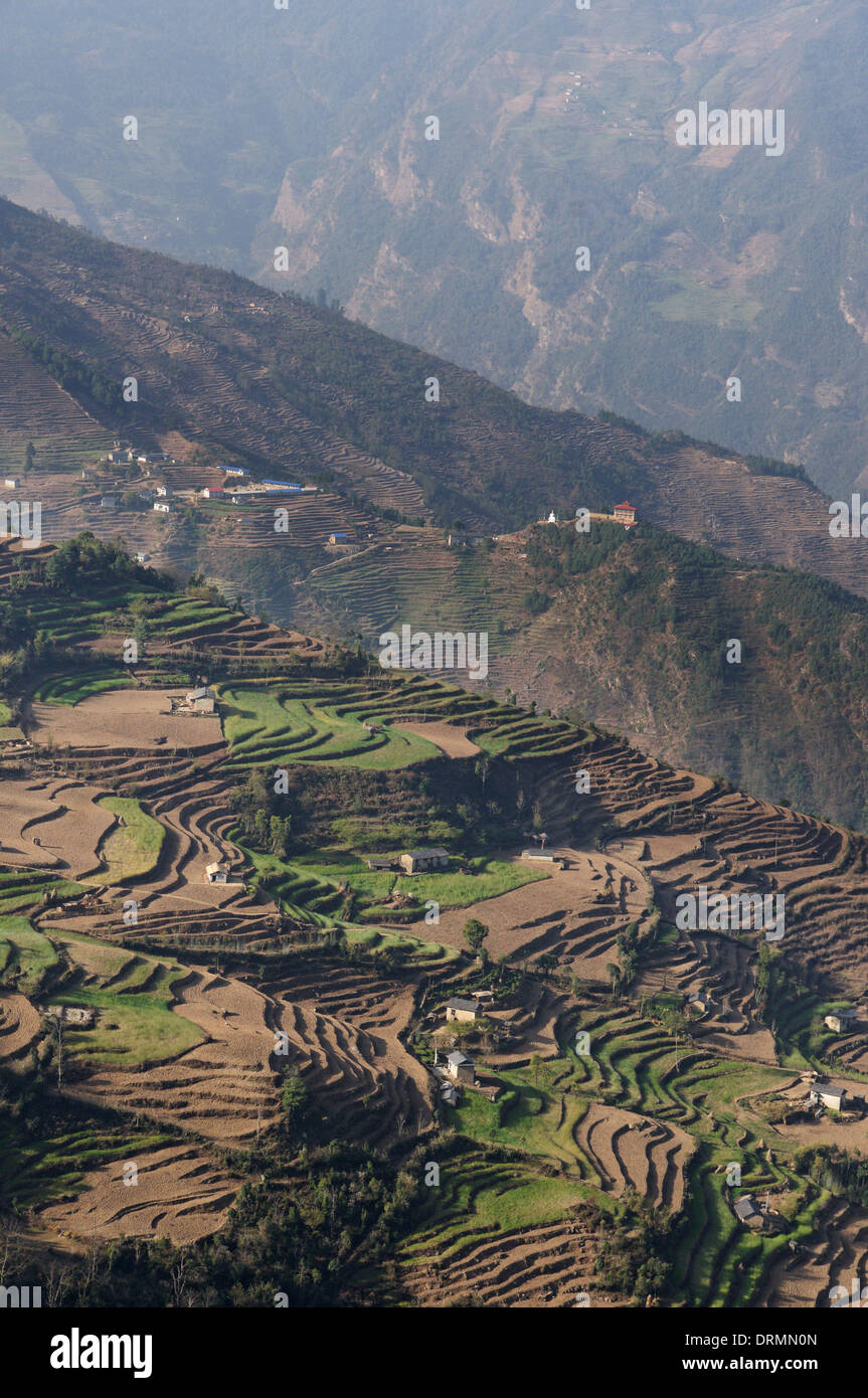 Farms terraced fields in hi-res stock photography and images - Alamy