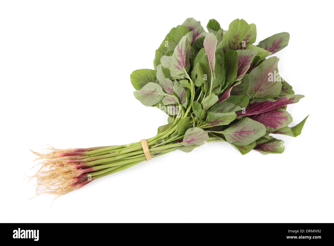 Amaranth hi-res stock photography and images - Alamy