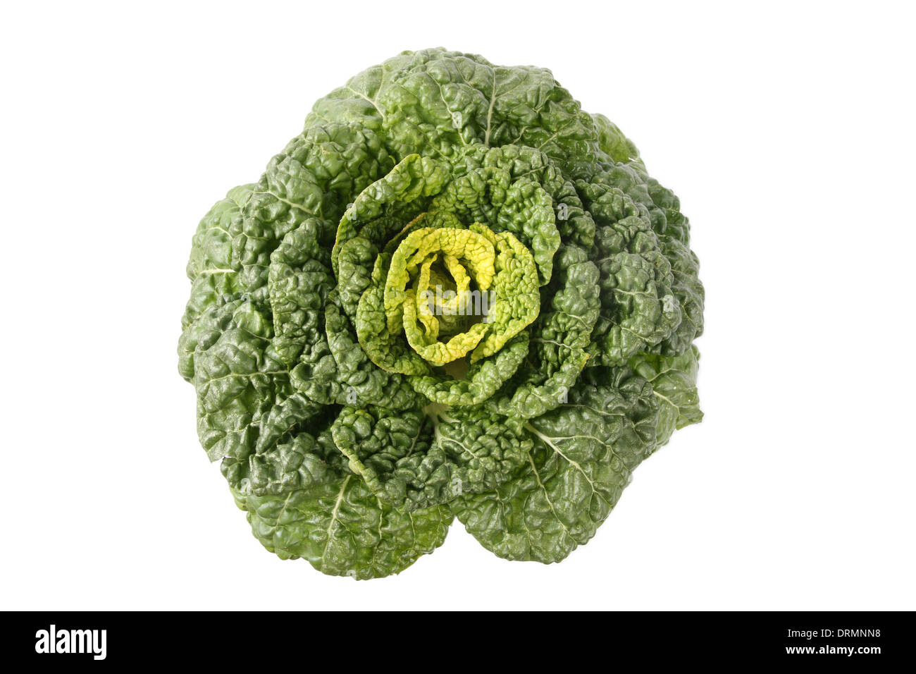 Cabbage Stalk High Resolution Stock Photography and Images - Alamy