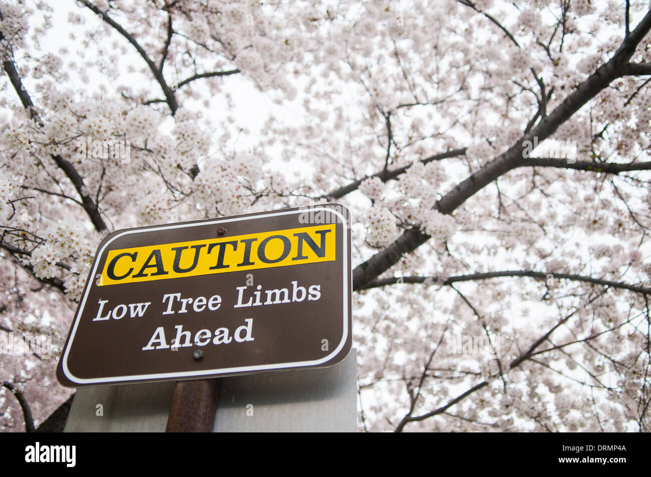 Warning low trees sign hi-res stock photography and images - Alamy