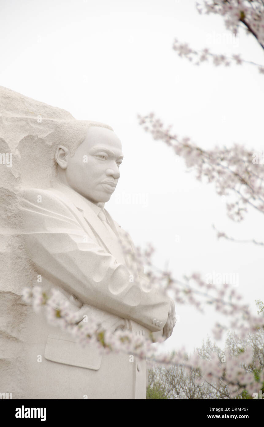 Mlk memorial and cherry blossoms hi-res stock photography and images ...