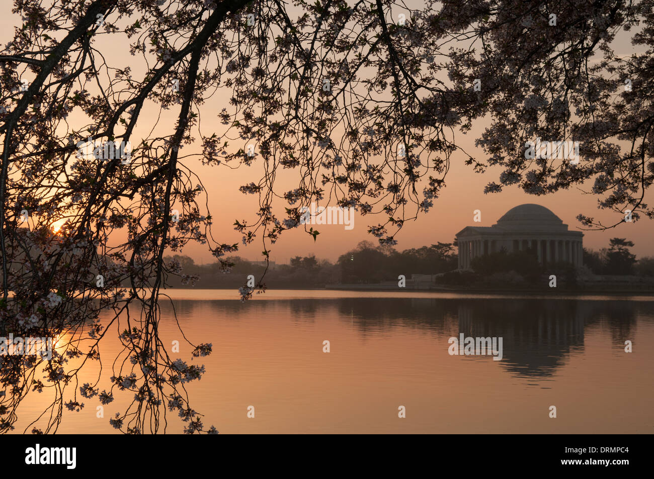WASHINGTON, DC, United States — The rising sun silhouettes the cherry ...