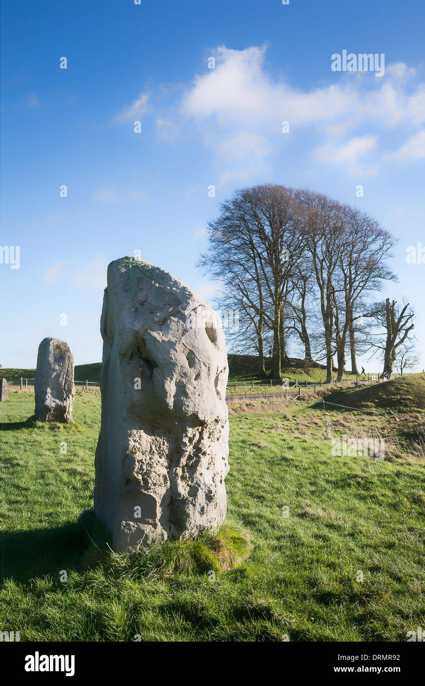 Avebury trees hi-res stock photography and images - Alamy