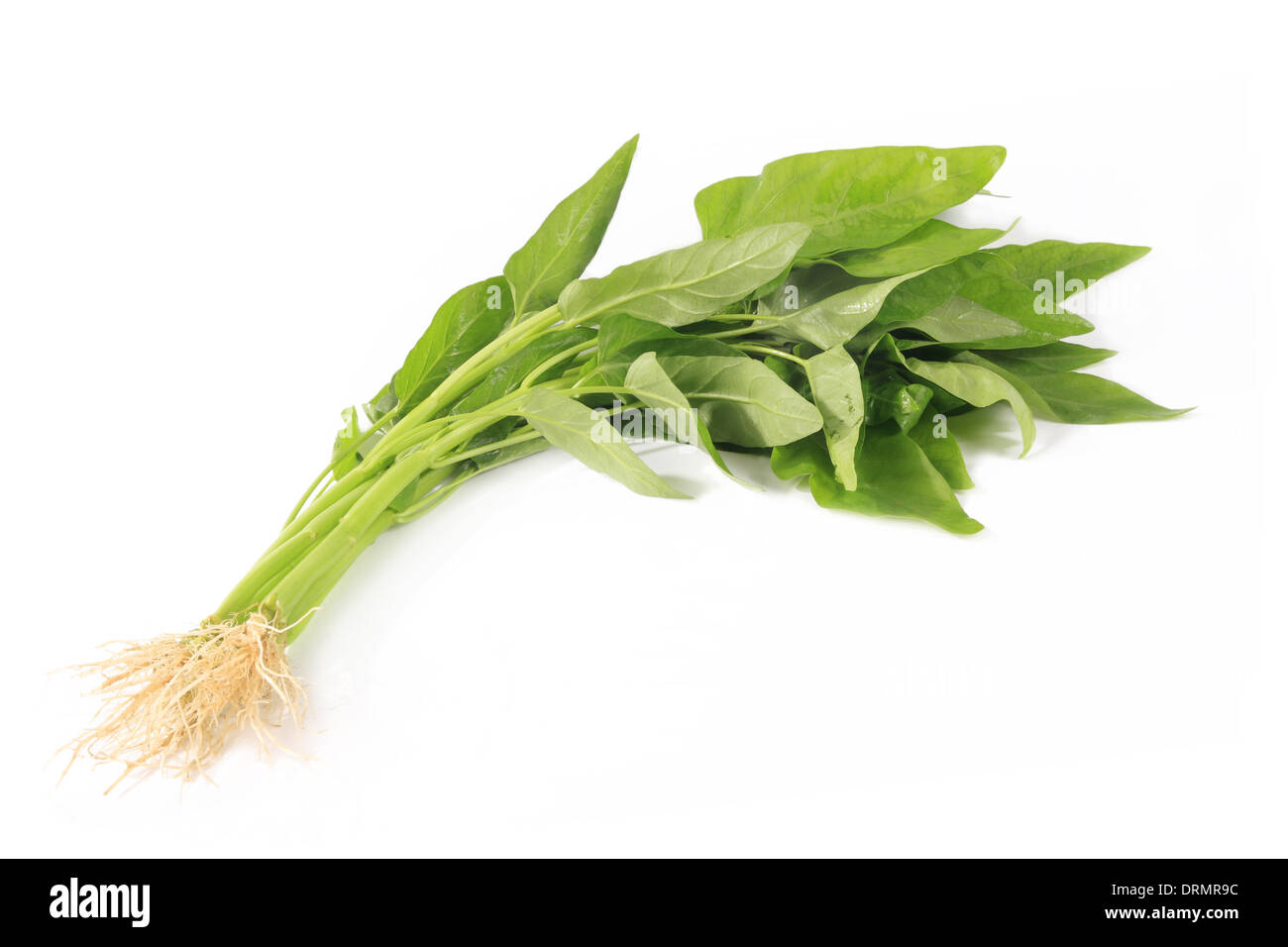 Asian spinach hi-res stock photography and images - Alamy