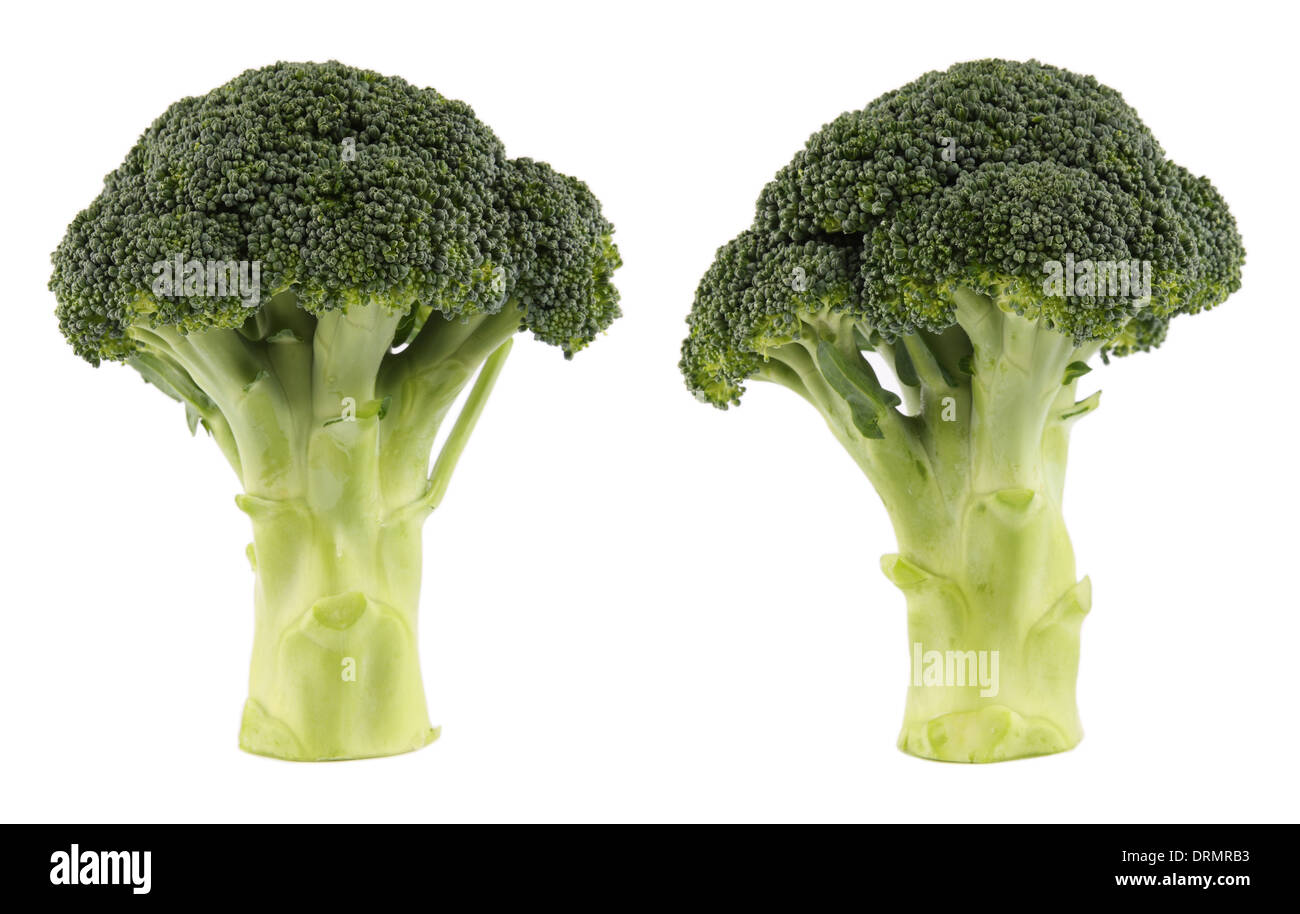 Broccoli leaf hi-res stock photography and images - Alamy