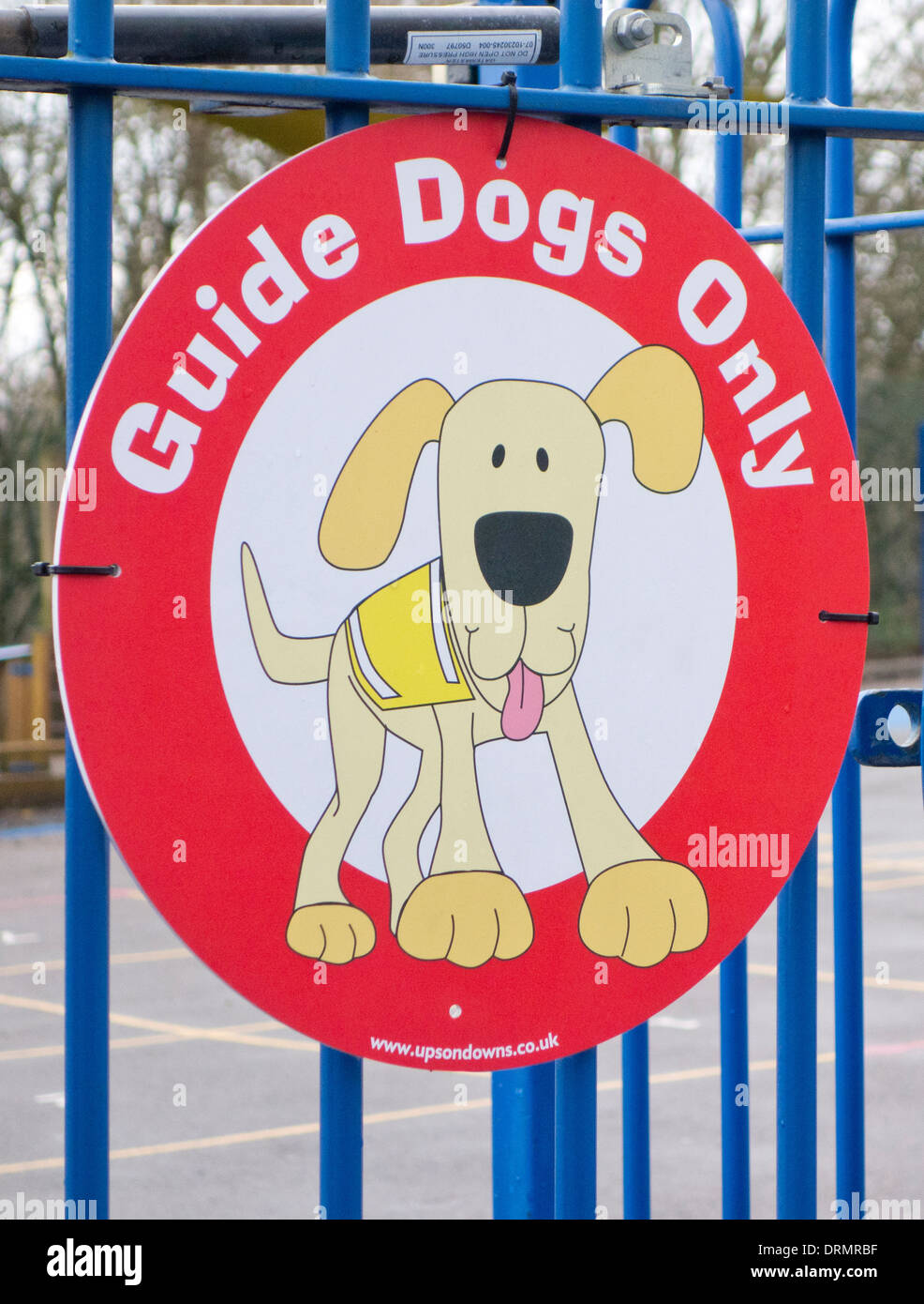 Guide Dogs Only Sign, UK Stock Photo - Alamy