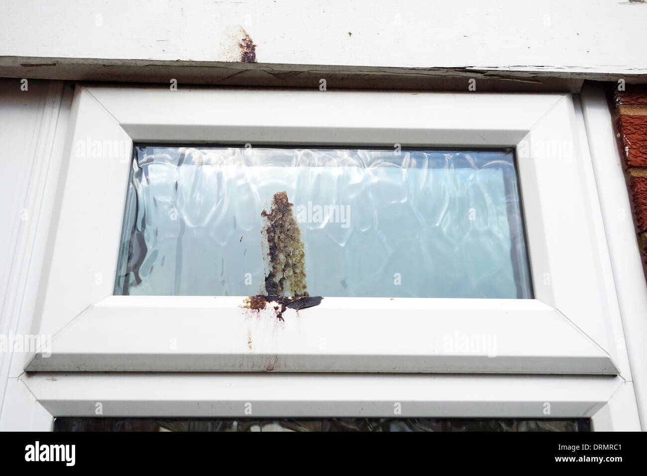 Bird droppings hi-res stock photography and images - Alamy