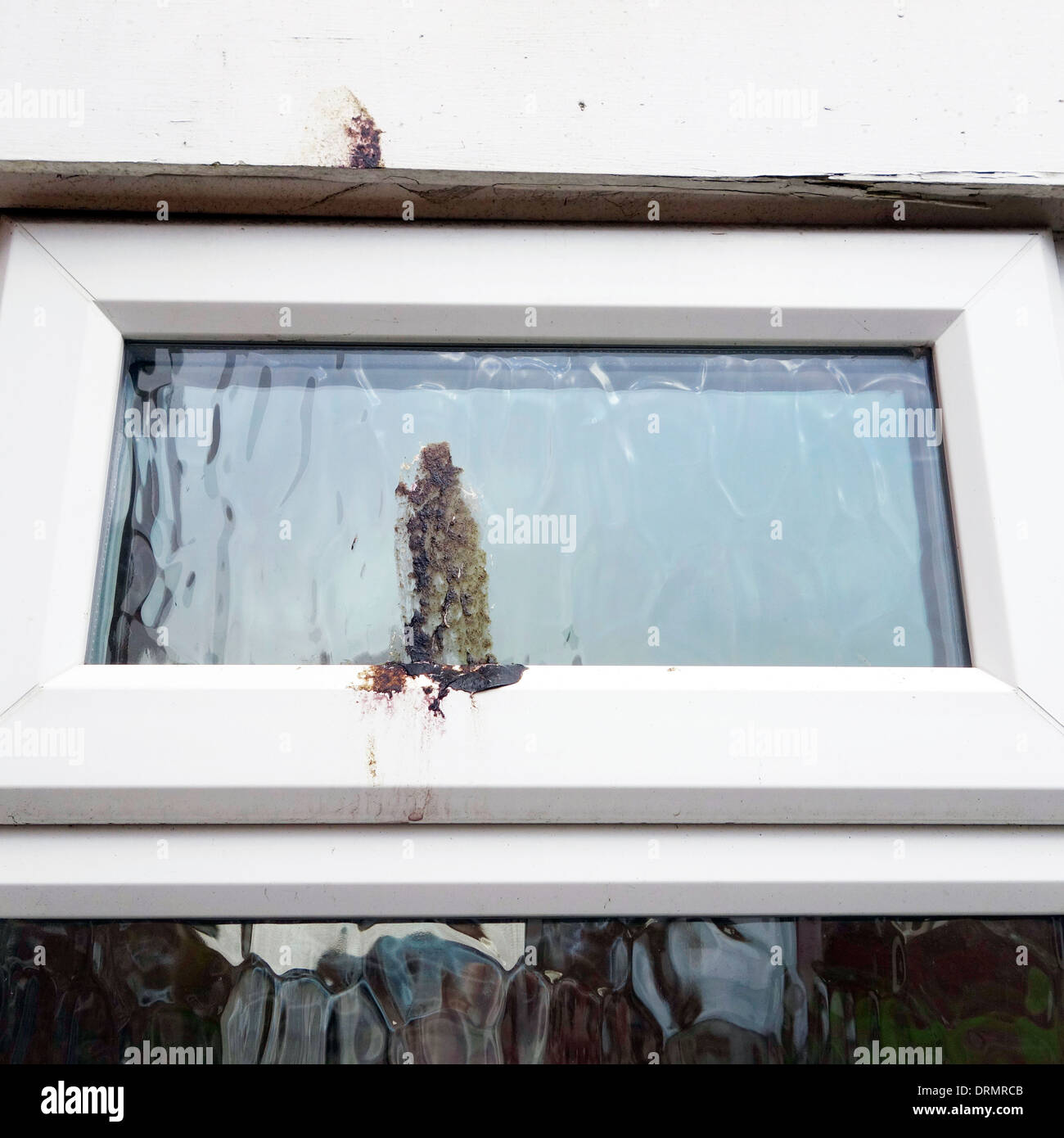 Windows on facades frontages hi-res stock photography and images - Alamy