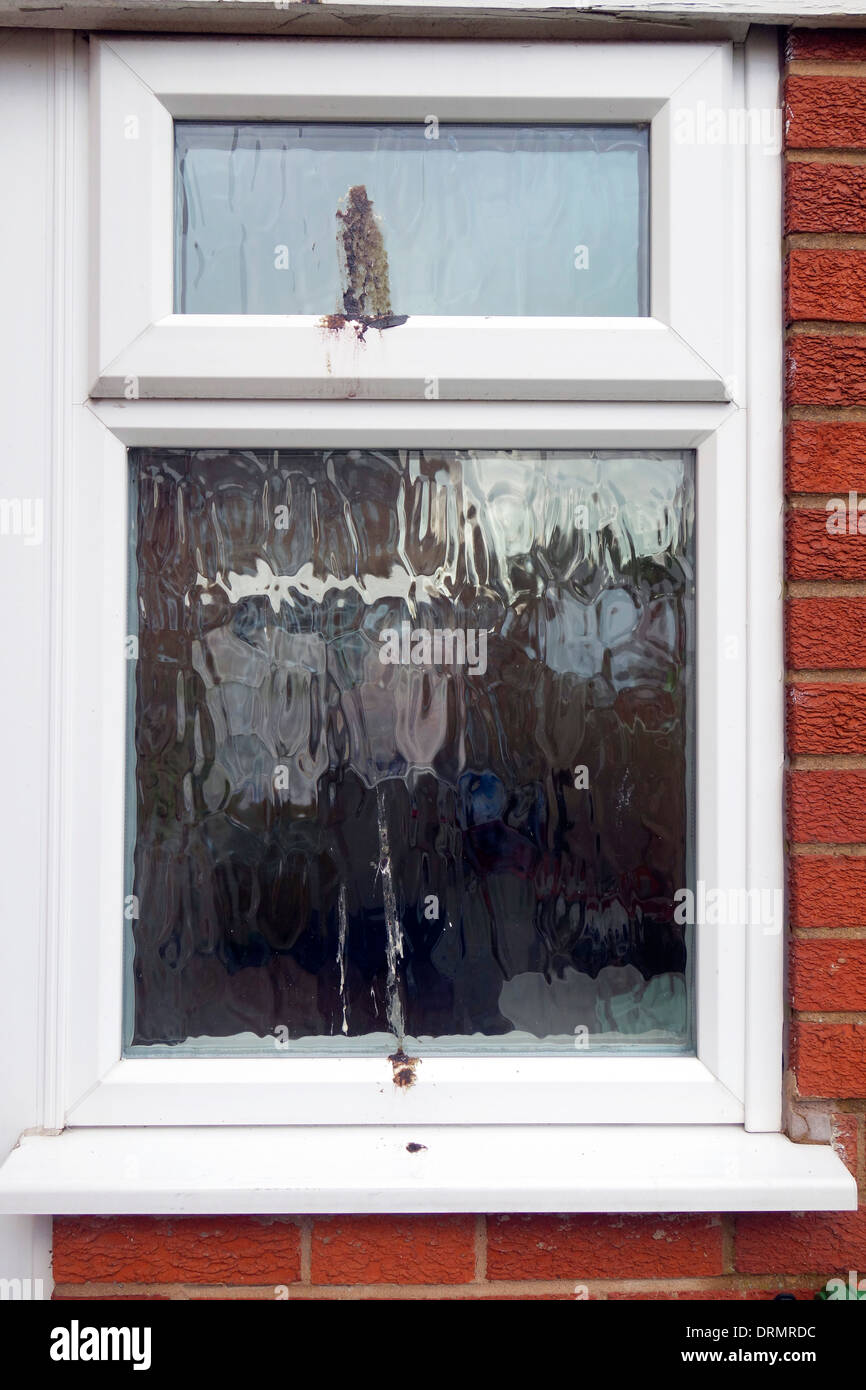 Windows on facades frontages hi-res stock photography and images - Alamy