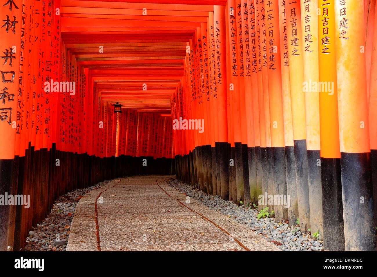 KYOTO, JAPAN - OCTOBER 16: Thousands of toris flanks the way to the Fushimi Inari Shrine on ...