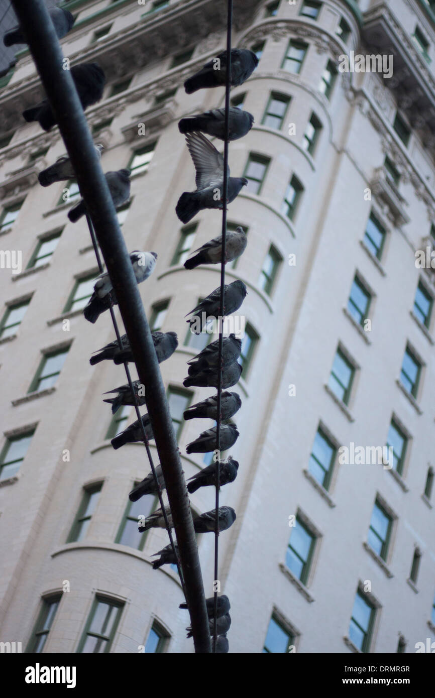 Overhead angles hi-res stock photography and images - Alamy