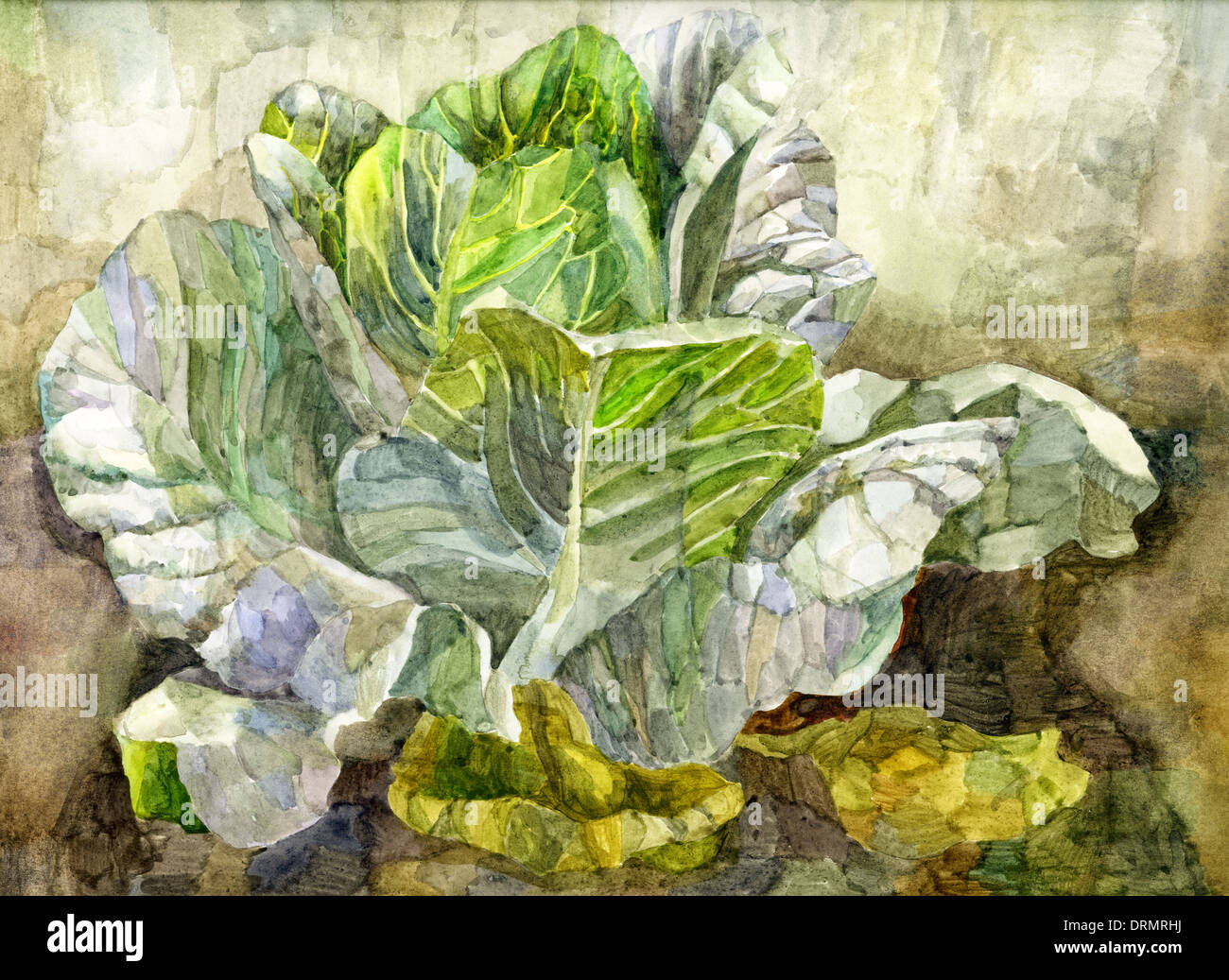 Cabbage Painting