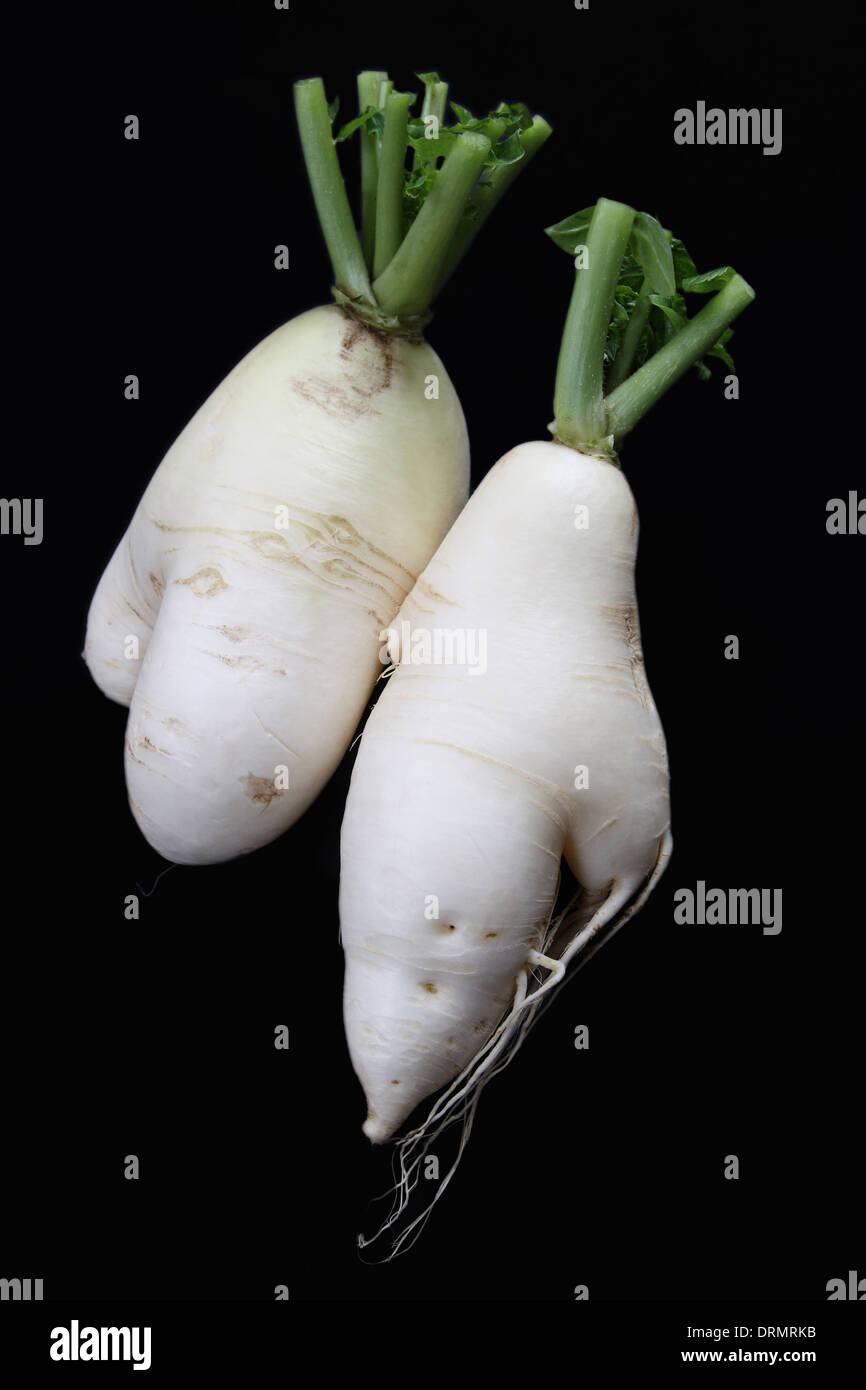 Root and tuber crops hi-res stock photography and images - Alamy