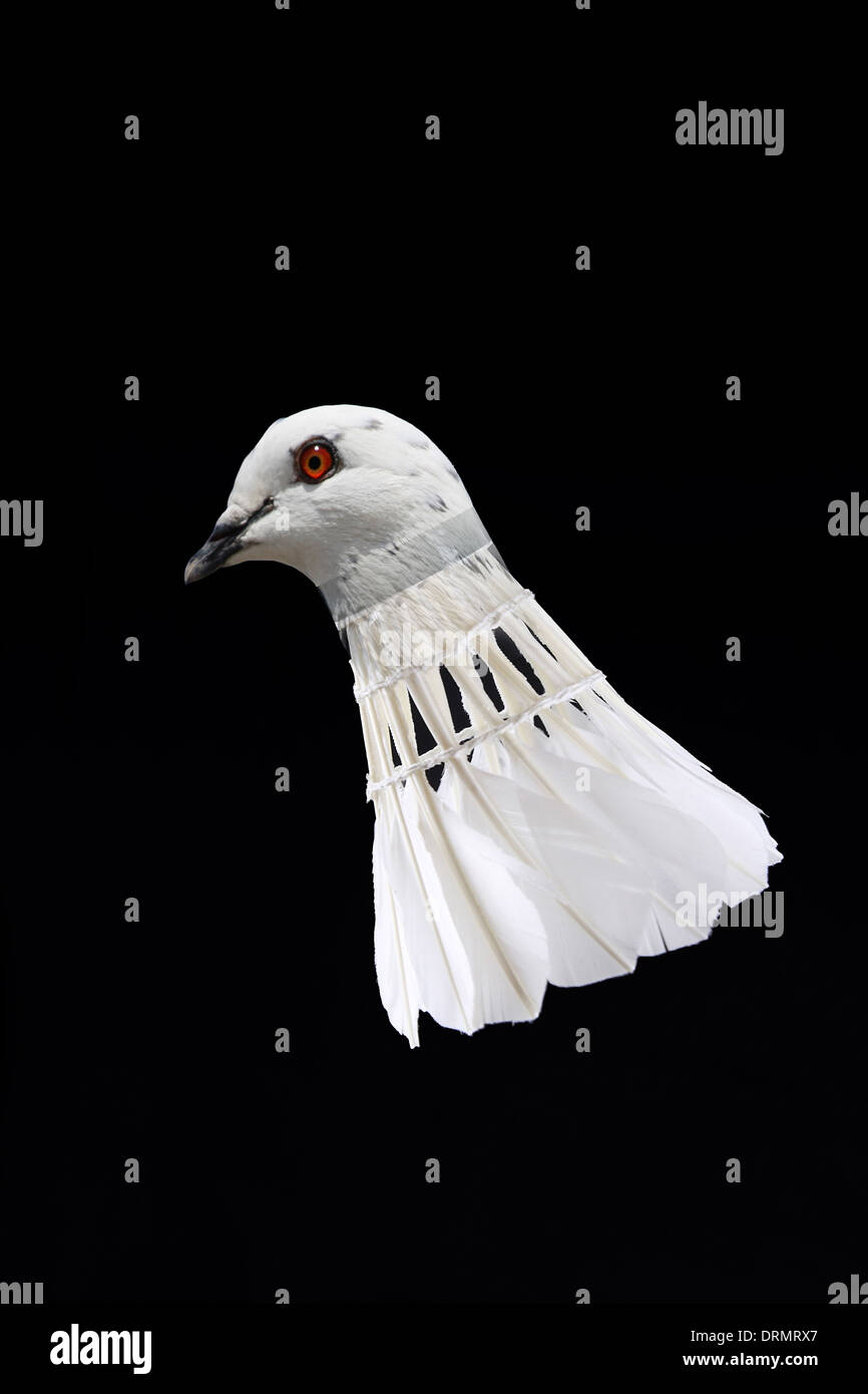 an abstract badminton Stock Photo - Alamy