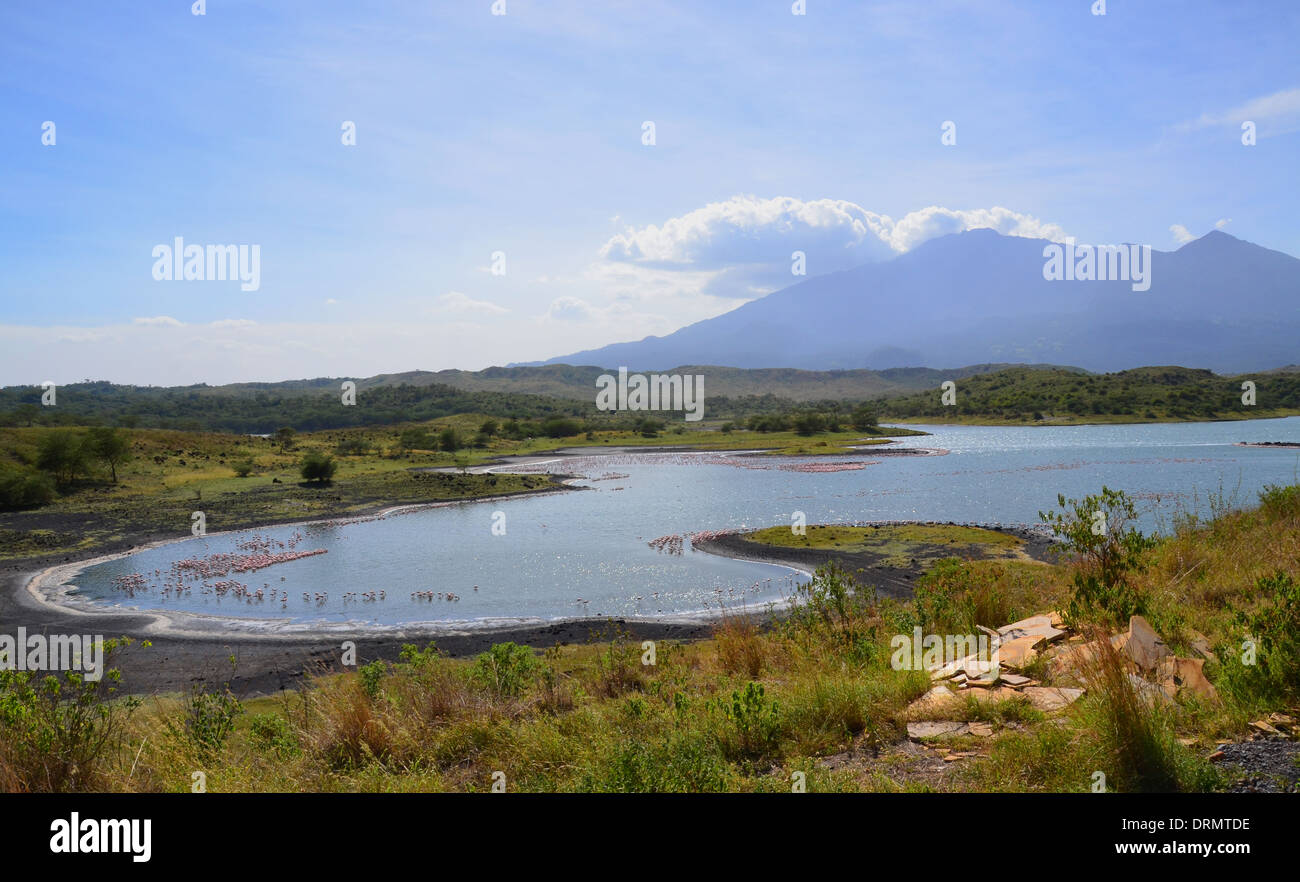 Berg meru hi-res stock photography and images - Alamy