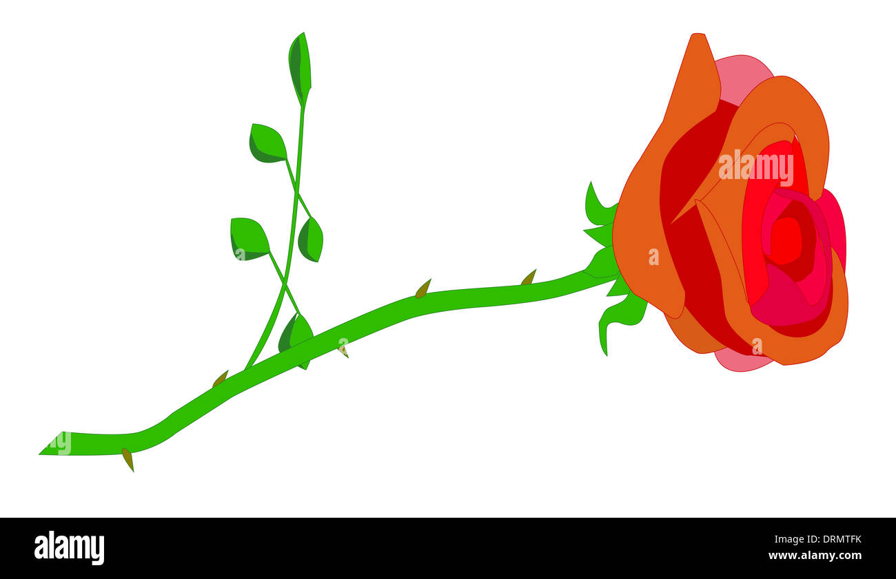 A cartoon rose set on a white background Stock Photo - Alamy