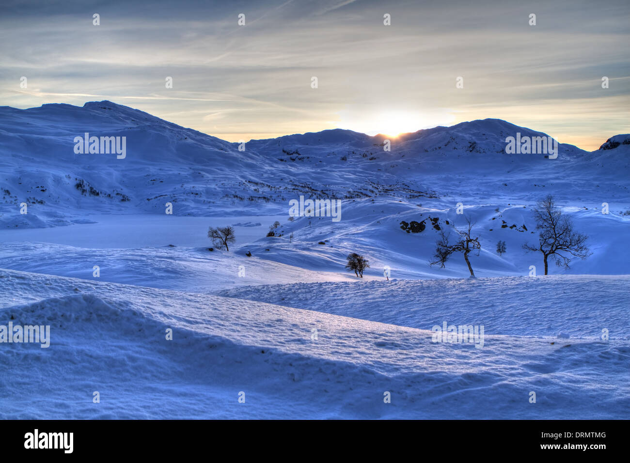 Norwegian mountains covered trees hi-res stock photography and images ...