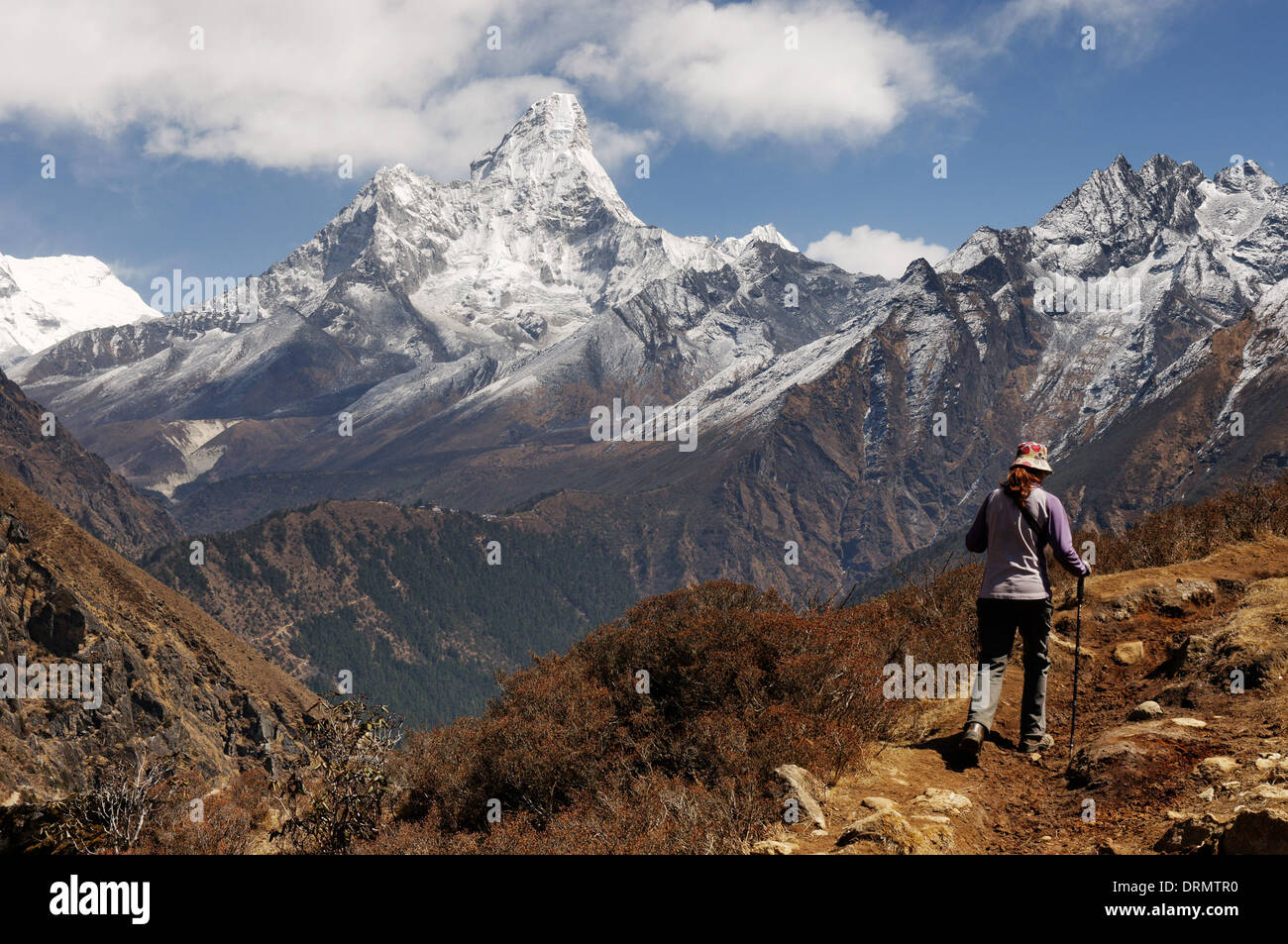 A lady trekker in the himalayas with Ama Dablam beyond Stock Photo - Alamy