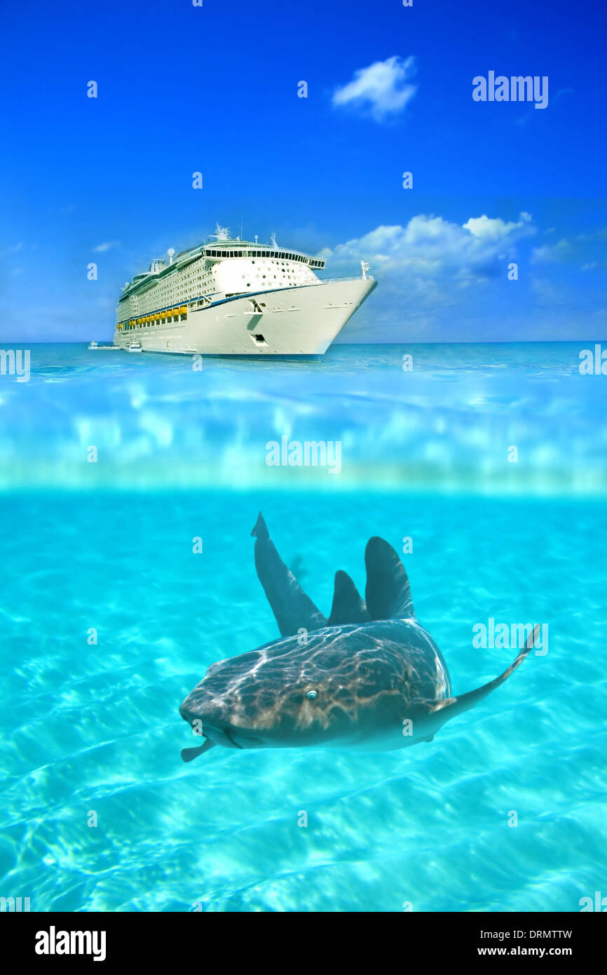 Crystal clear waters Stock Photo - Alamy