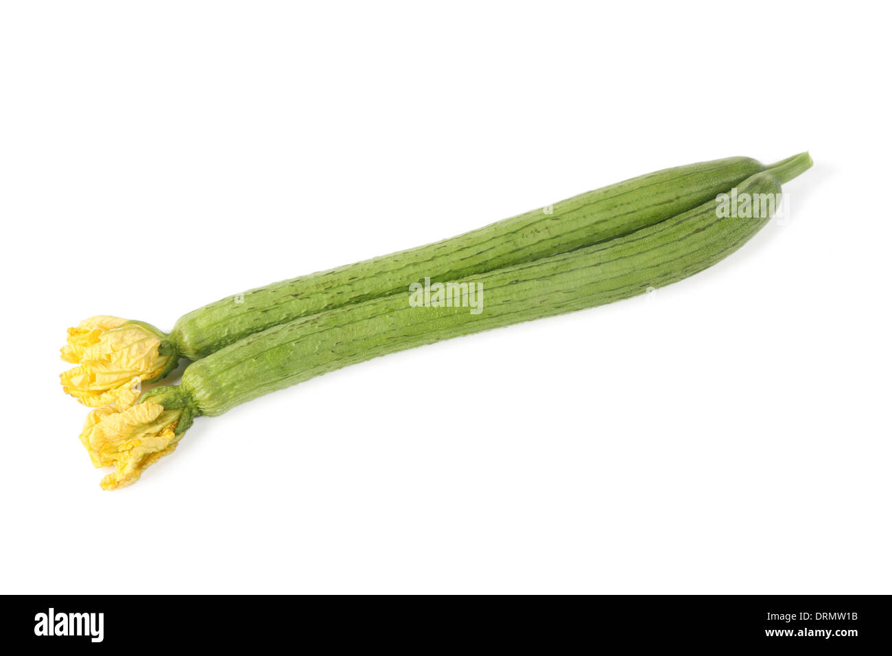 Loofah soup hi-res stock photography and images - Alamy