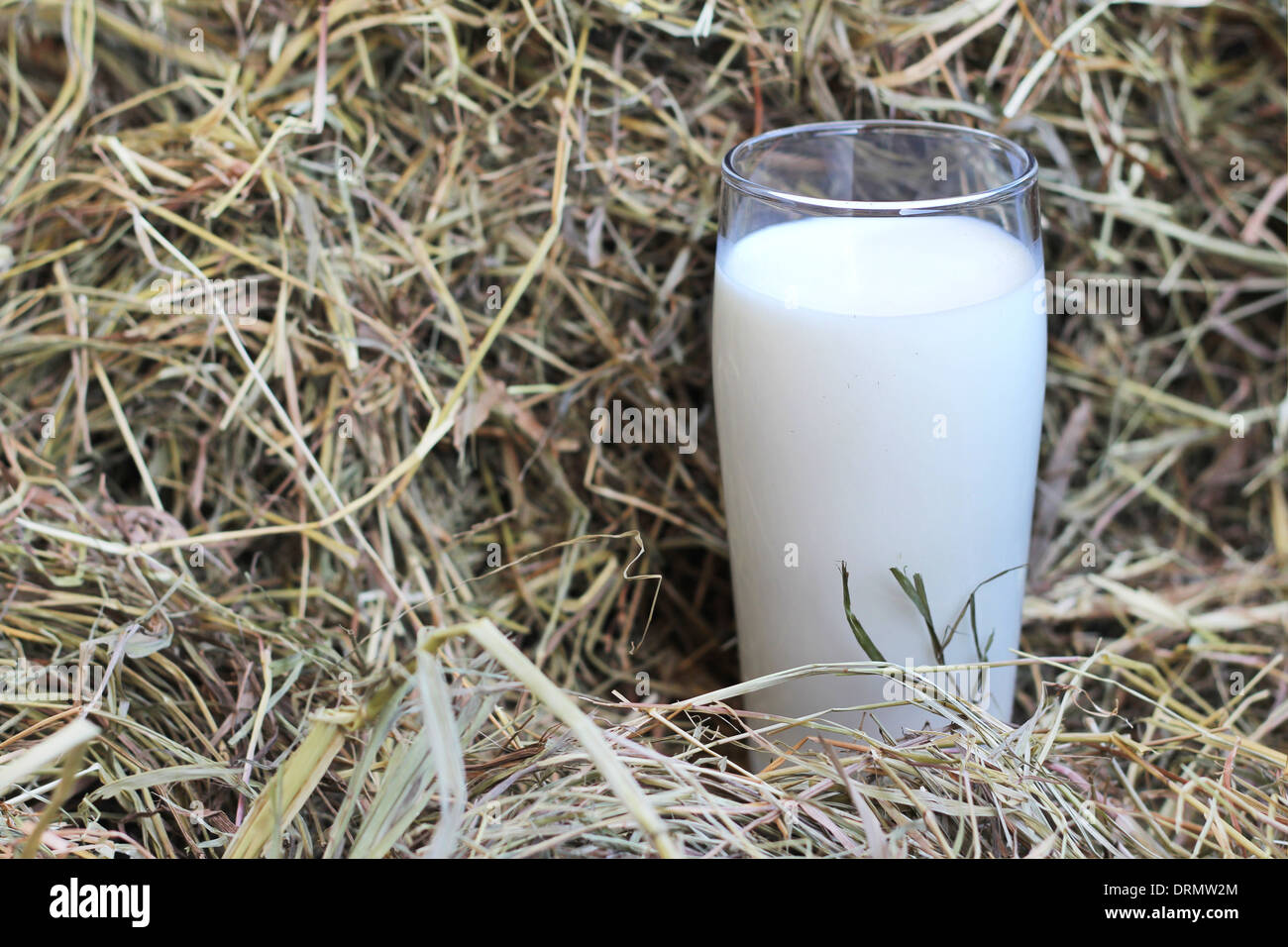 Glass of fresh natural milk on hay Stock Photo - Alamy