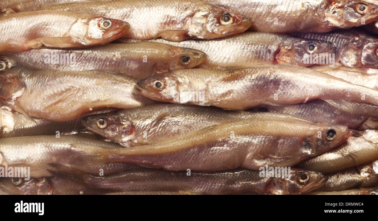 Sea smelt hi-res stock photography and images - Alamy