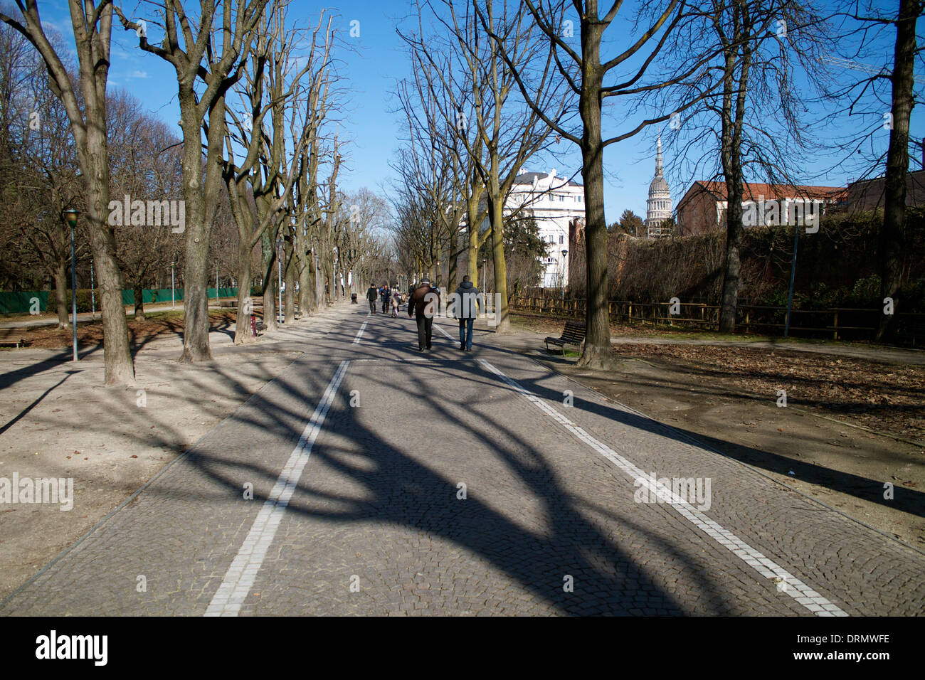 Allea hi-res stock photography and images - Alamy