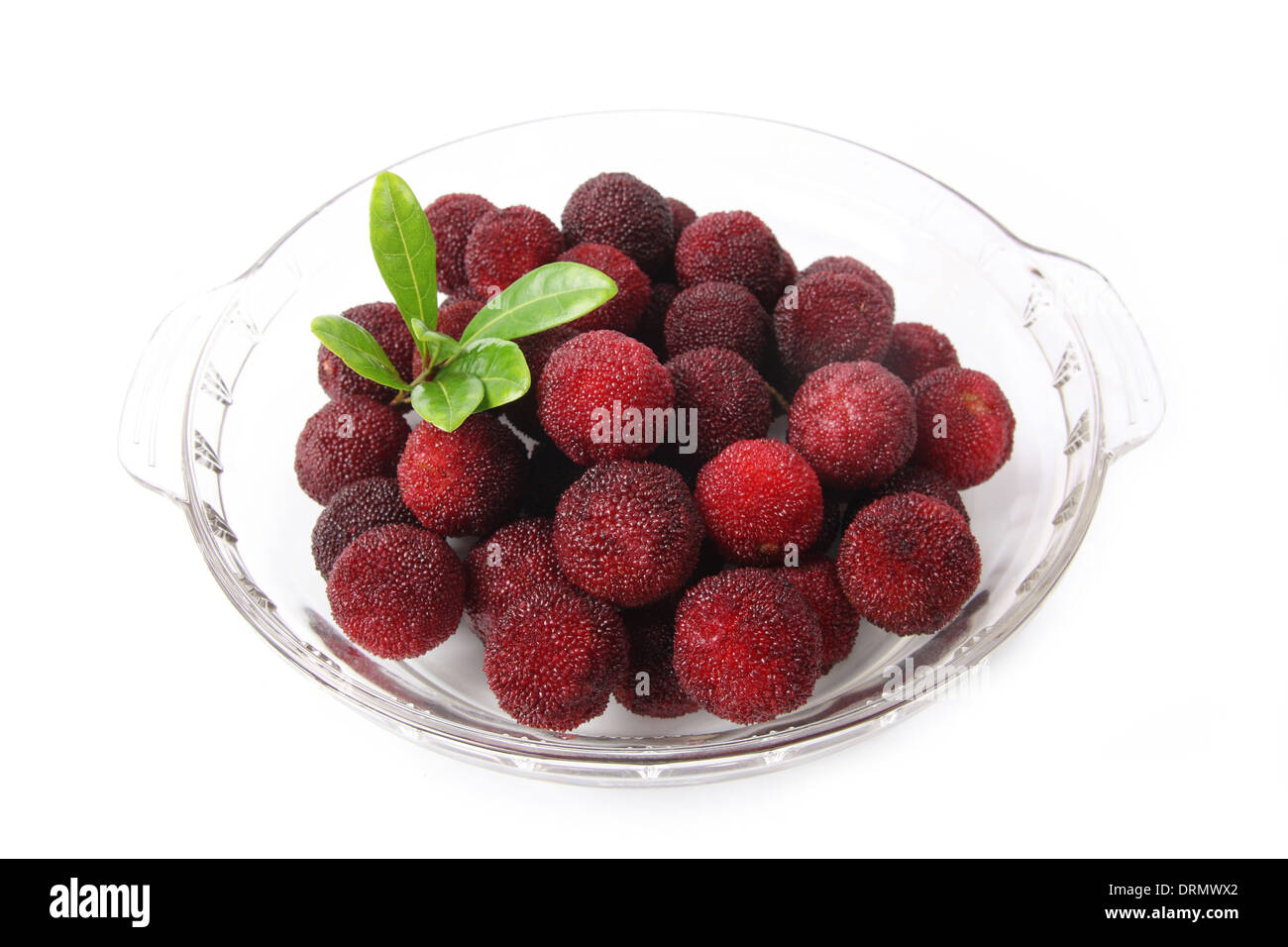 Waxberry Cut Out Stock Images & Pictures - Alamy