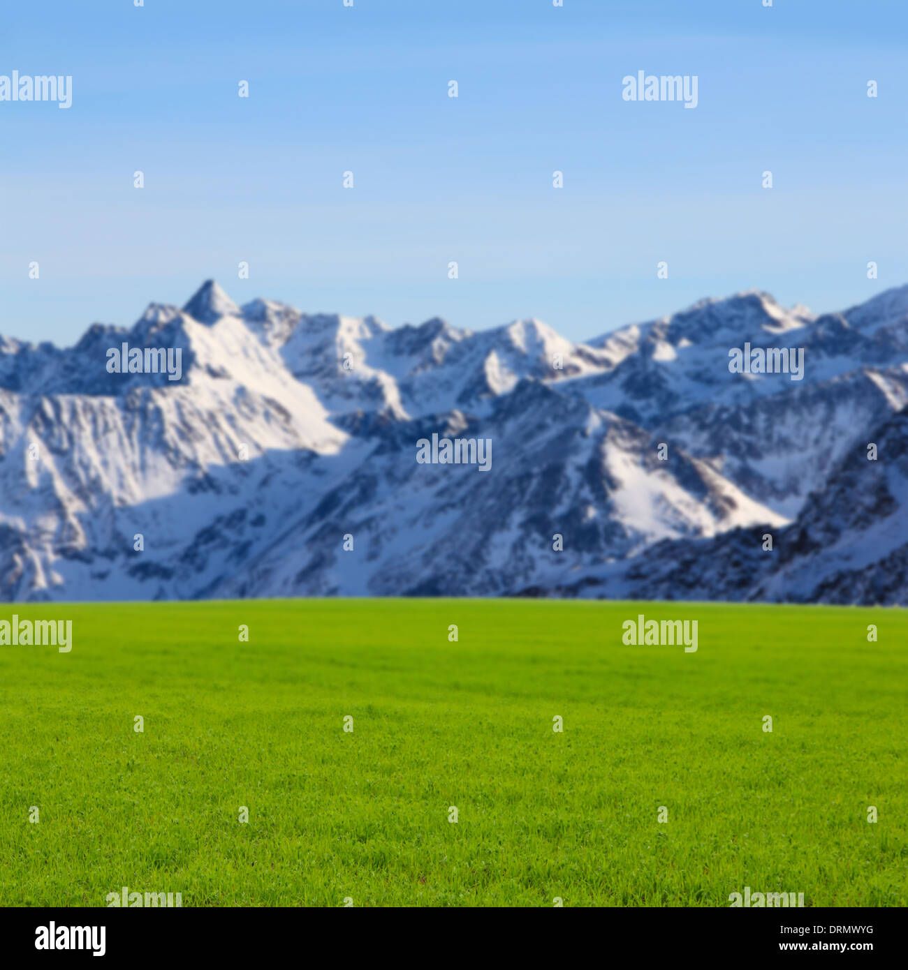 Grass field in mountains Stock Photo - Alamy
