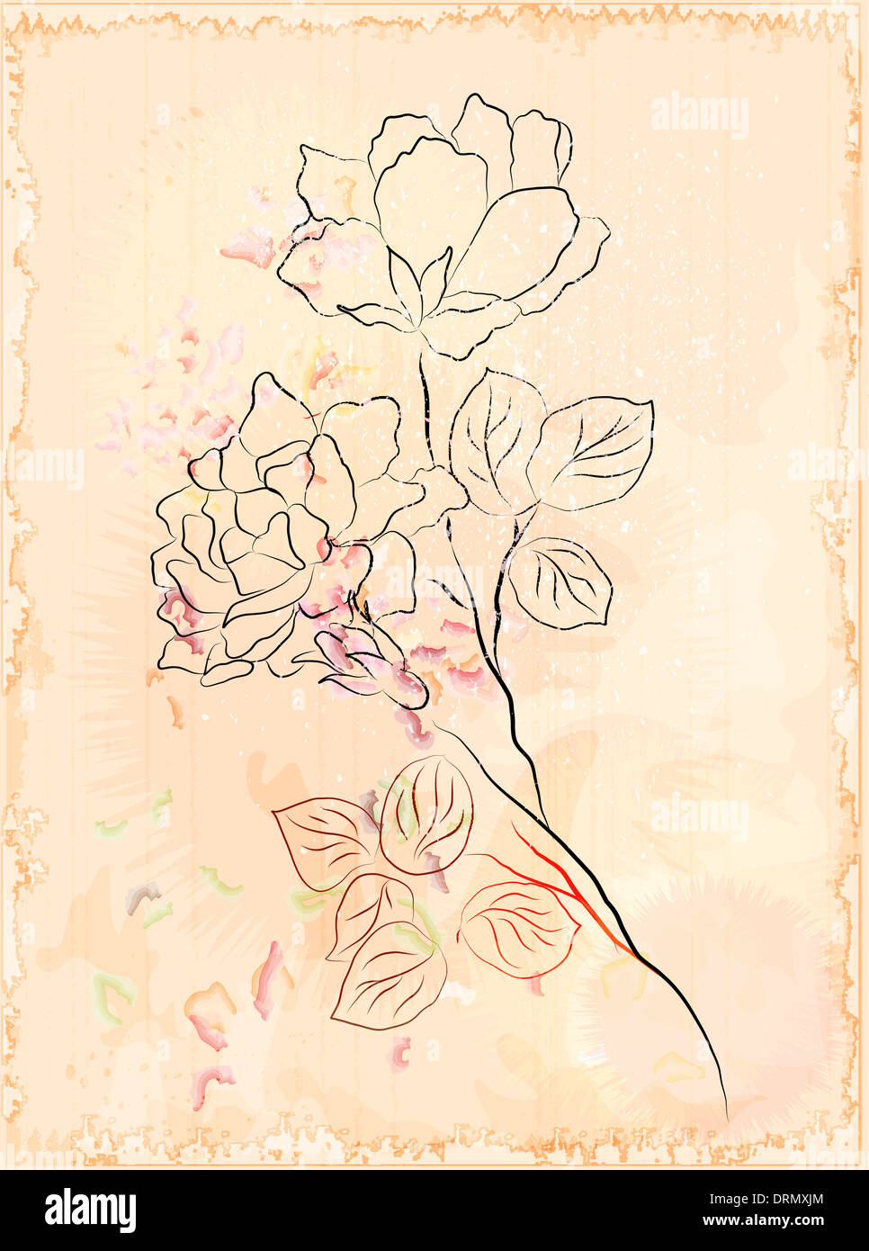 Vintage posy illustration hi-res stock photography and images - Alamy