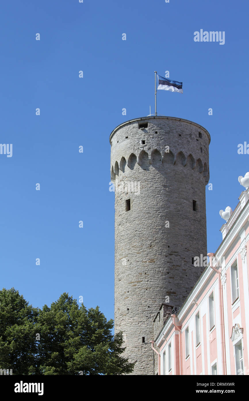 Pikk Hermann tower Stock Photo - Alamy