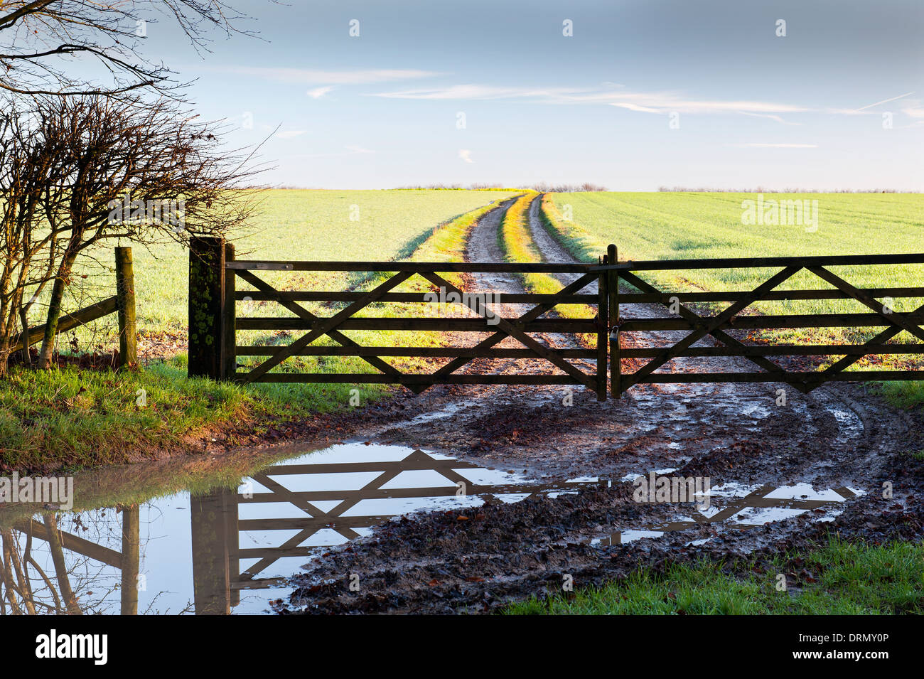 Double gates hi-res stock photography and images - Alamy