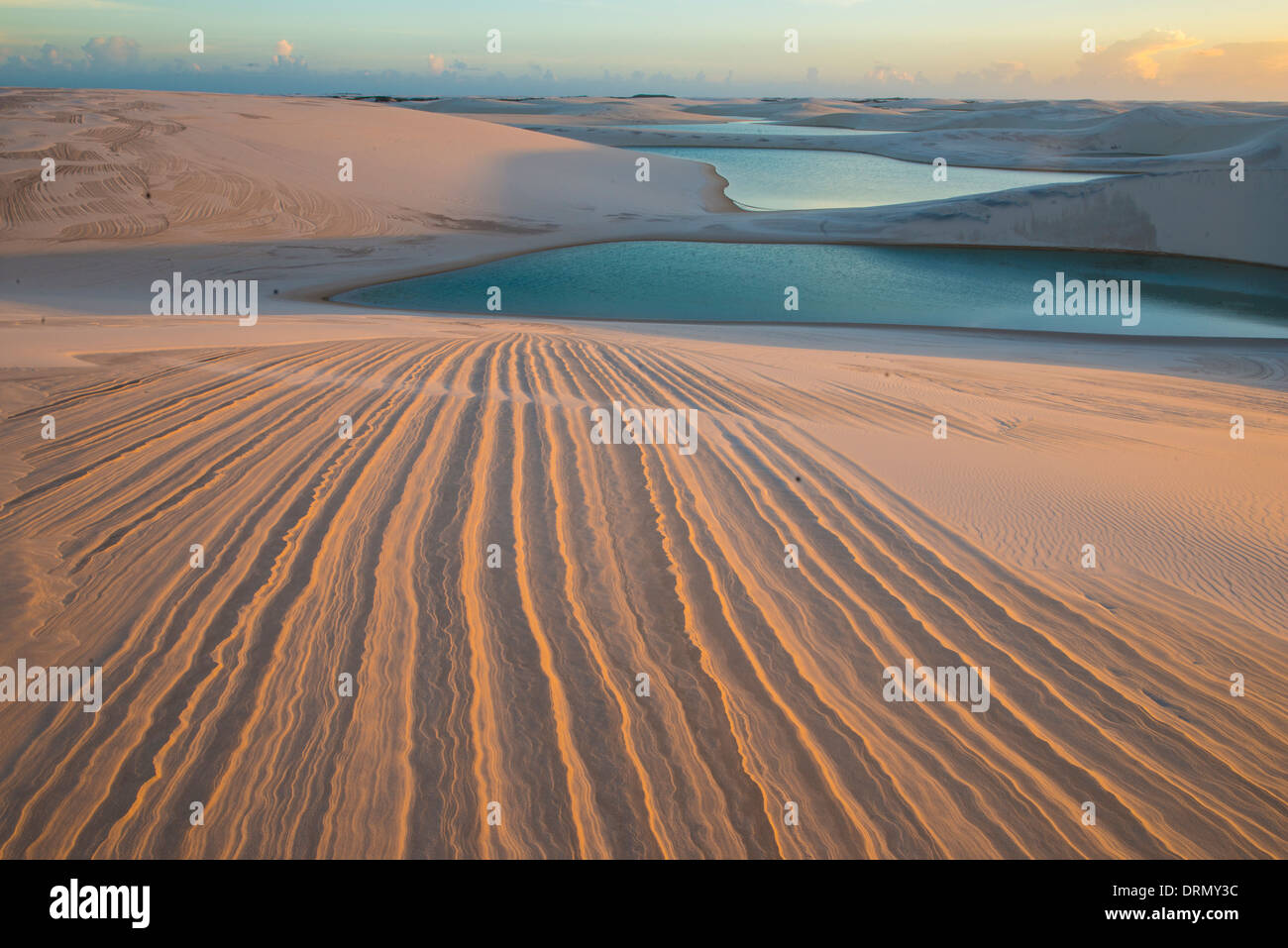 White sand national park hi-res stock photography and images - Alamy